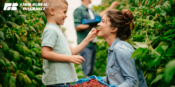 Pick, Plan, Play: Your Best Summer Ever Starts Here! - Farm Bureau ...